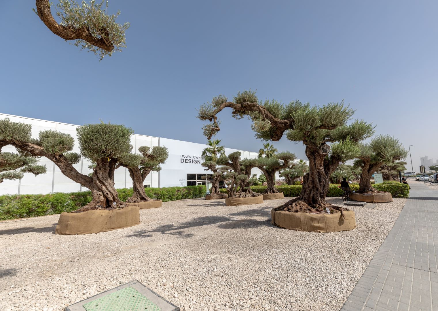 Downtown Design, Dubai 2025 - Electra Events & Exhibitions